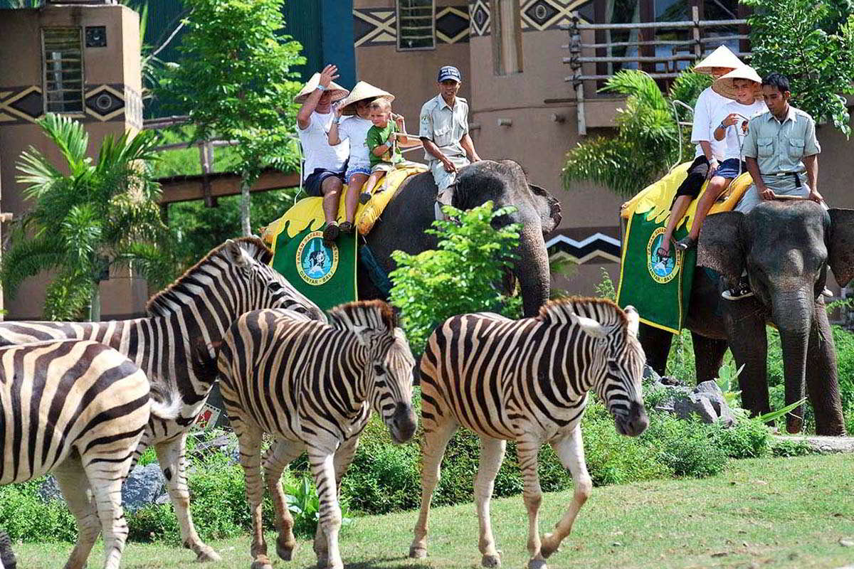 Bali Safari And Marine Park Tour | Asia Bali Tour